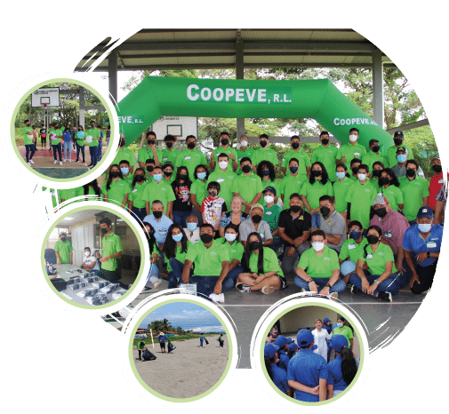 Inicio - COOPEVE, R.L.